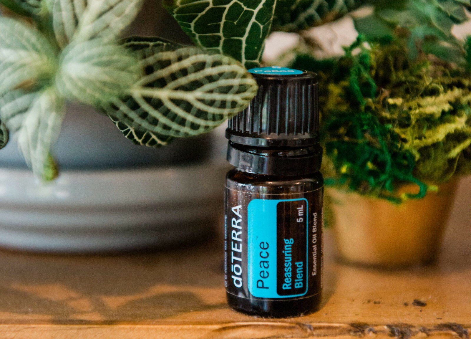 doTERRA Peace Oil 5ml New Sealed FREE SHIPPING | eBay