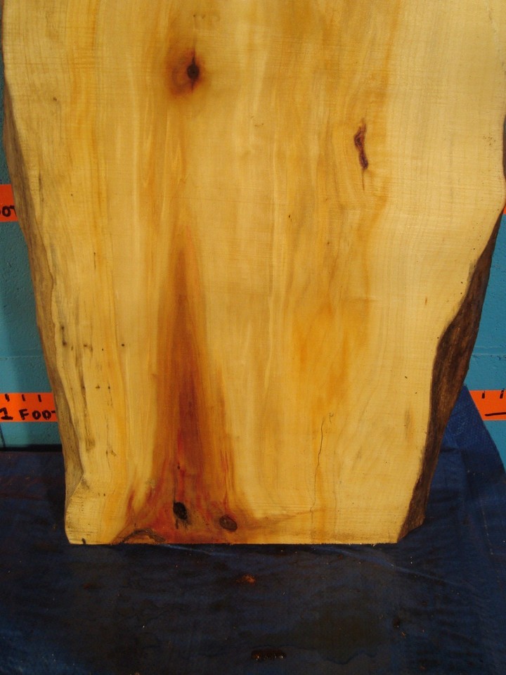#8315 flaming red box elder live edge slab lumber wood 49 7/8"L 18"W2 5 ...