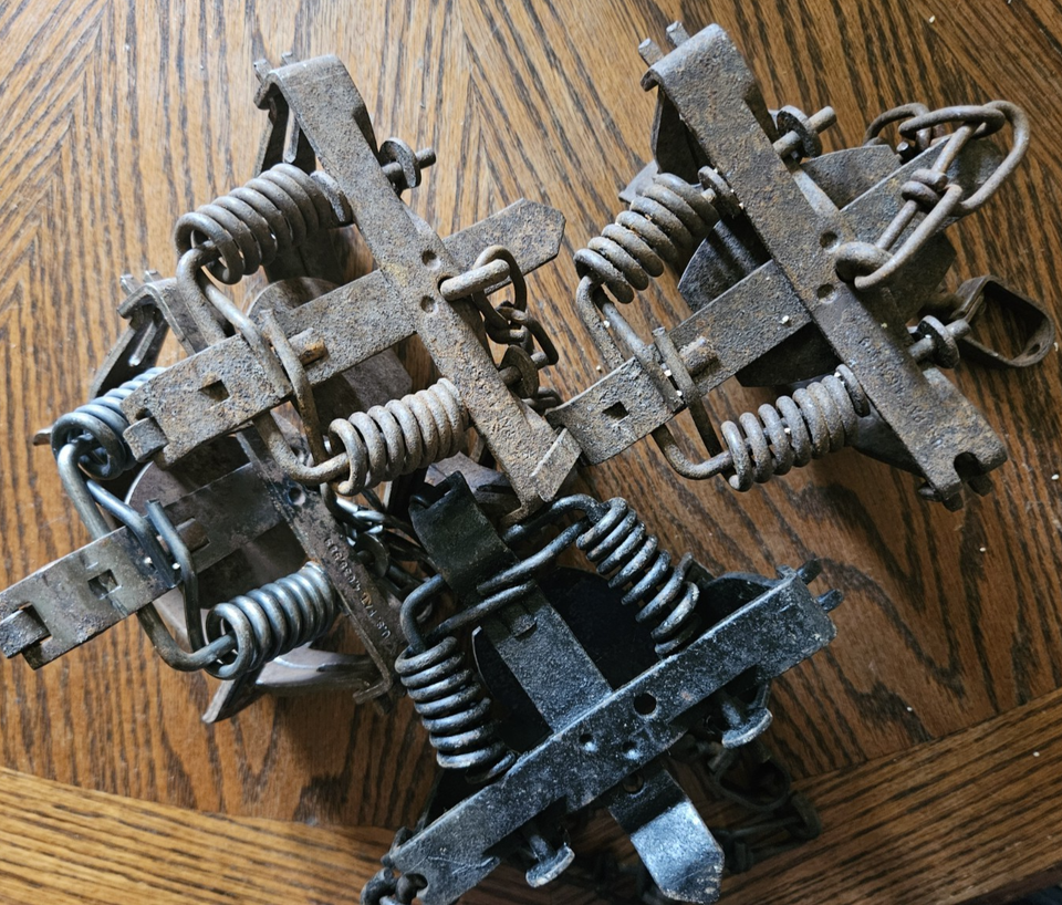 4- #1.75 Victor Professional Coil Spring Traps | eBay