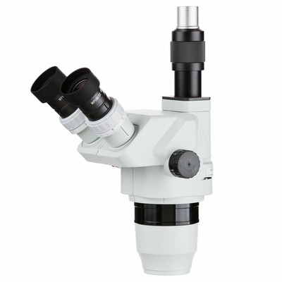 Microscopes - Microscope Trinocular Head