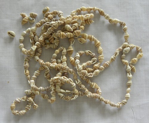 Lot of Natural Sea Shell Necklace Cowrie & Puka Snail Shells -Loose ...