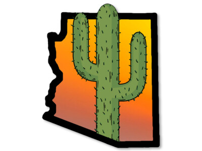 3x3 inch Arizona Shaped Cactus Desert Sticker (AZ decal bumper car) | eBay
