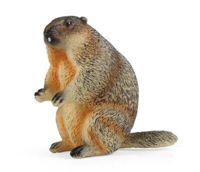 Marmot Animal Toy PVC Action Figure Doll Kids Toys Party Gifts | eBay