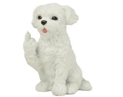 Maltese Puppy Raising Middle Finger Statue - Gift Boxed - | eBay