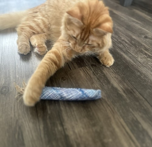 Handmade Cat Kicker, Cat Nip Kicker with Burlap Fringe, Crinkle sound ...