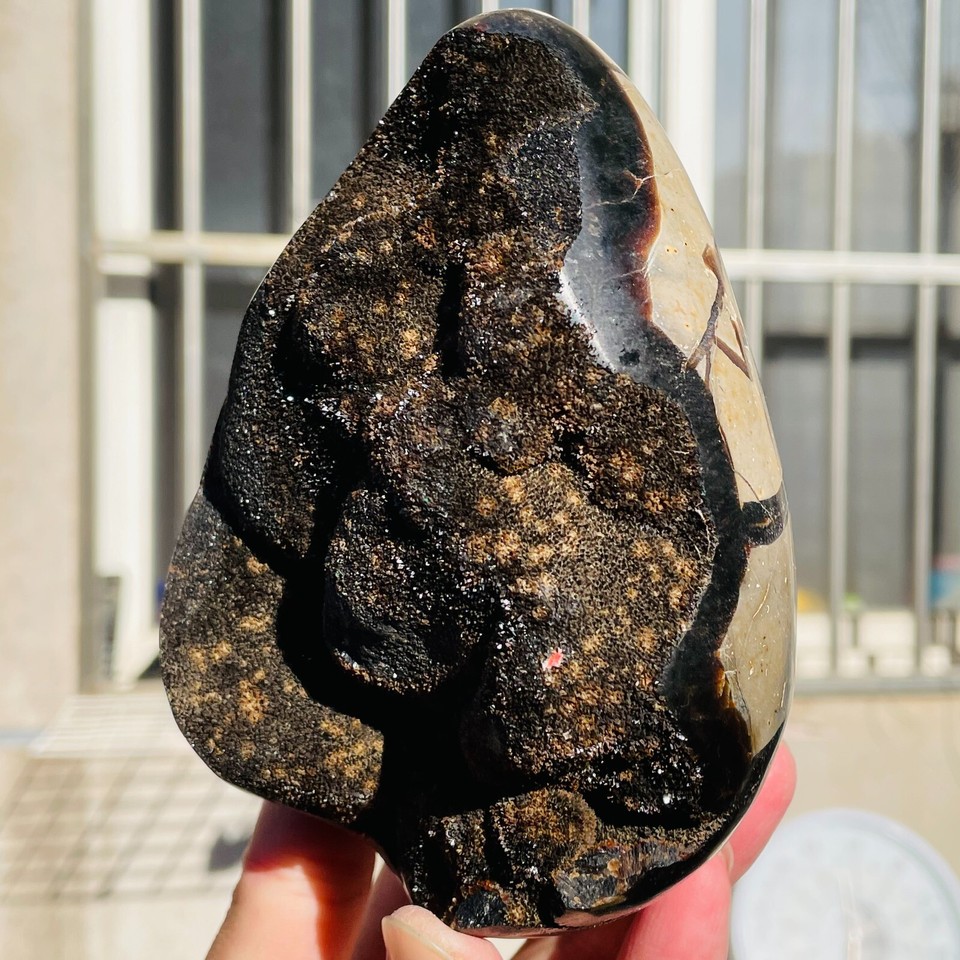 1174g Large Natural Dragon Septarian Septarium Crystal Egg Geodes ...