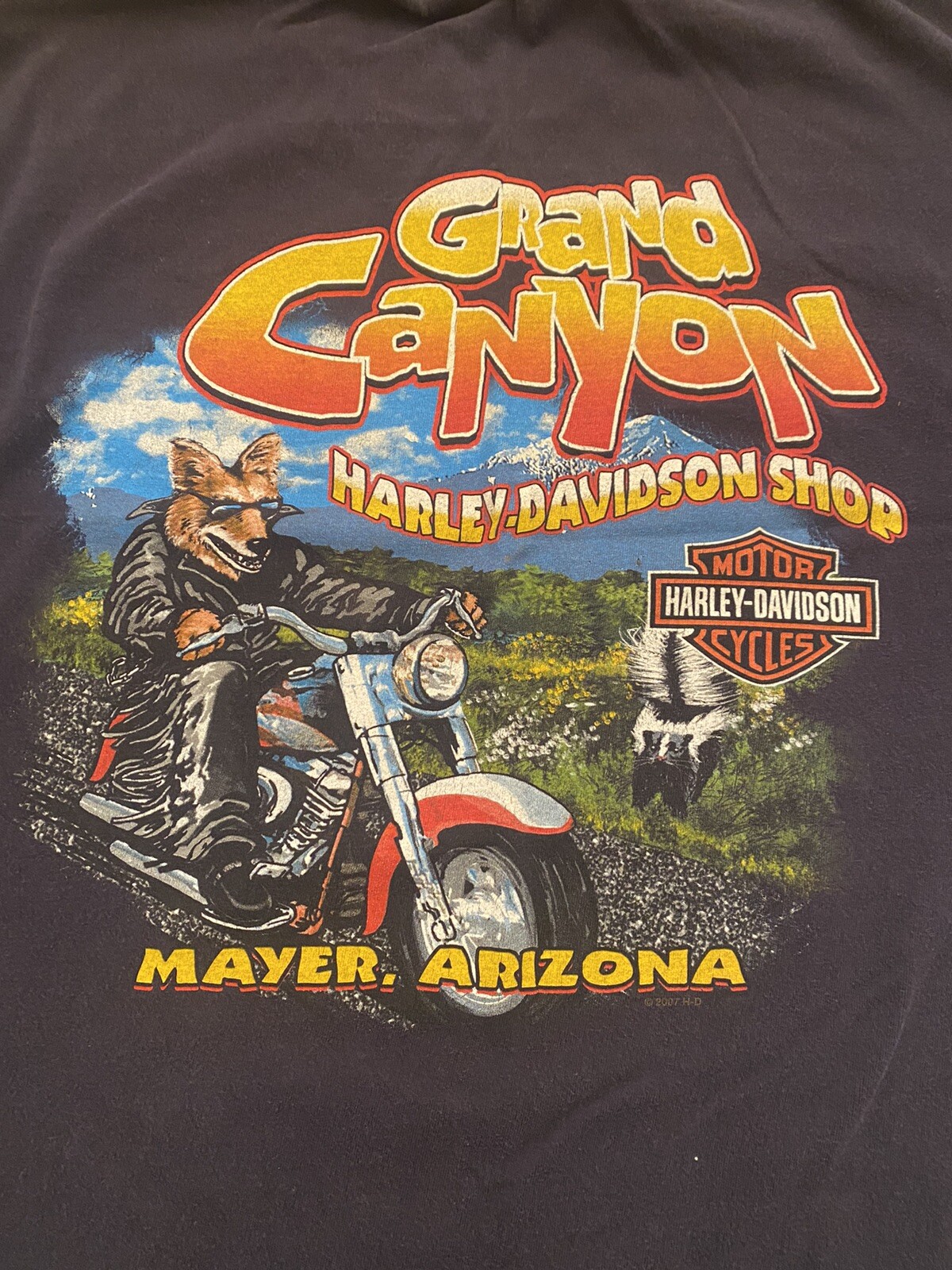 2007 World Famous Harley Davidson Grand Canyon Mayer,… - Gem