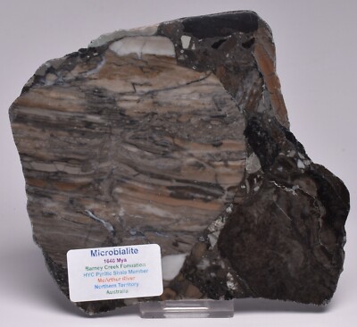 MICROBIALITE, STROMATOLITE, 1640 mya BARNEY CREEK FORMATION, AUSTRALIA ...