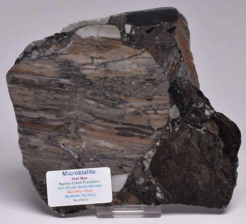 MICROBIALITE, STROMATOLITE, 1640 mya BARNEY CREEK FORMATION, AUSTRALIA ...