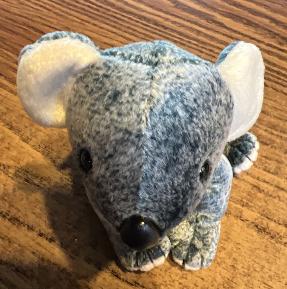TY - "Eucalyptus" - Beanie Baby - Koala -ORIGINAL (1999) PE Pellets NO ...