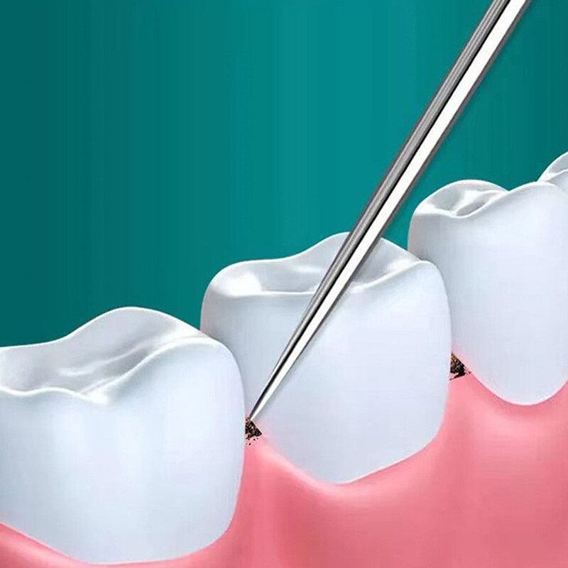 304 Dental Tools Set Flossing Tooth Picking Tool Oral Hygiene Tartar ...