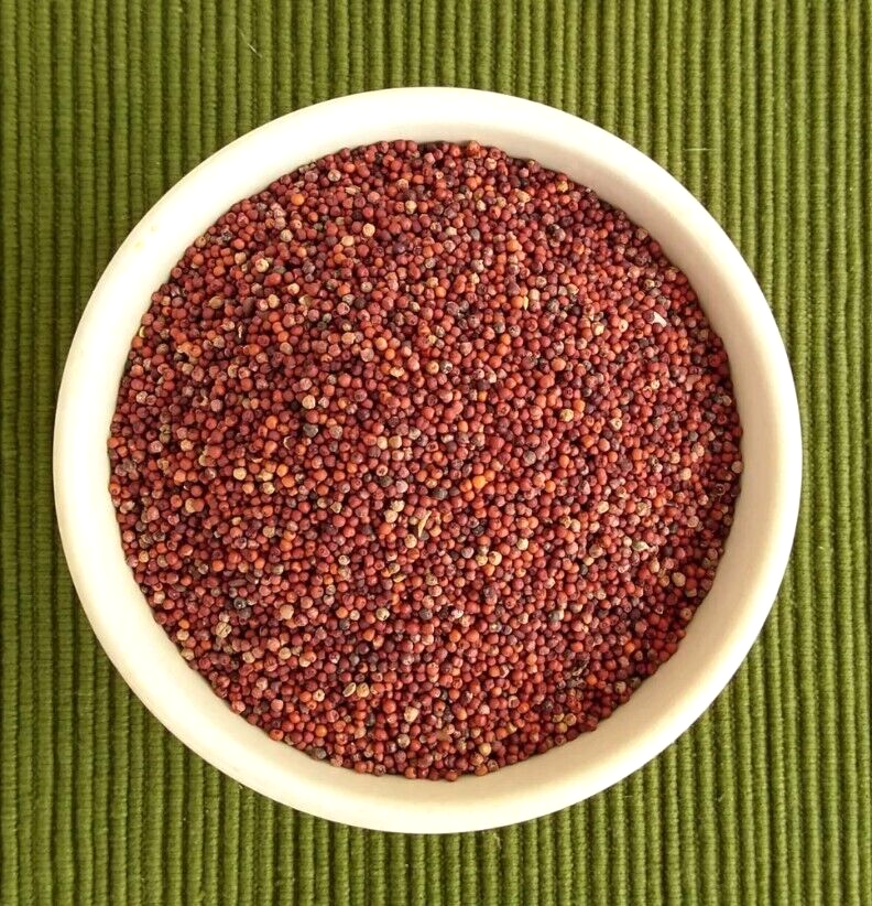 Millet Seed Buy White Millet Online With Canadian Pricing – Urban