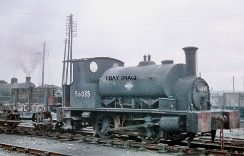PHOTO CALEDONIAN 'PUG' 0F 0-4-0ST 56035 IN JULY 1960. PROBABLY AT 66D ...