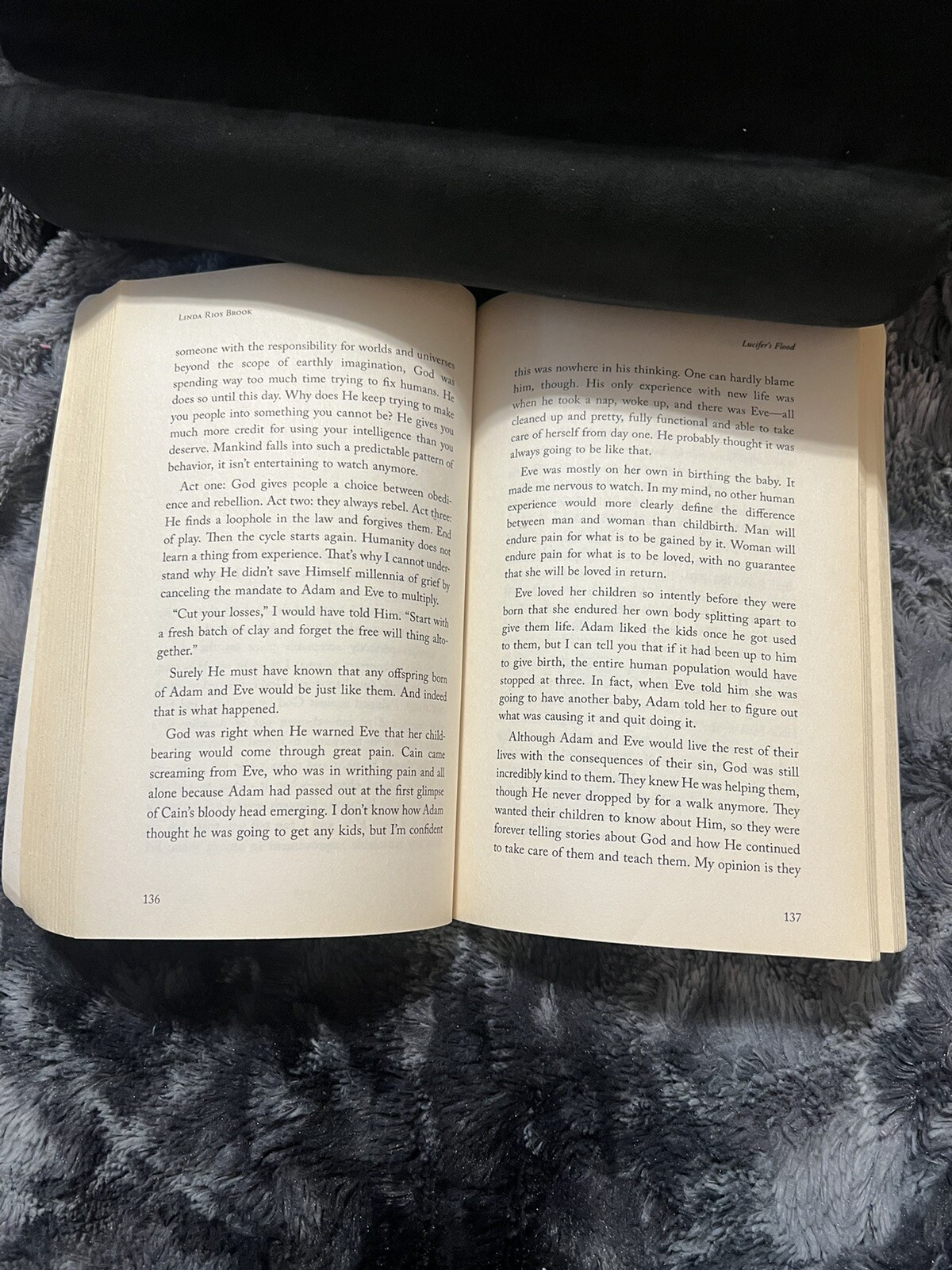 Lucifer's Flood by Linda Rios Brook (Hardcover) for sale online | eBay