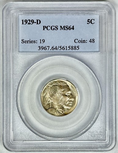 1929-D Buffalo 5c PCGS MS64 Amazing Luster Denver Mint Coin! NEW | eBay