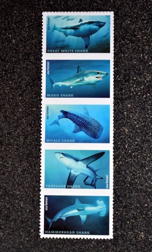 2017USA #5223-5227 Forever - Sharks - Strip of 5 Postage Stamps Mint ...