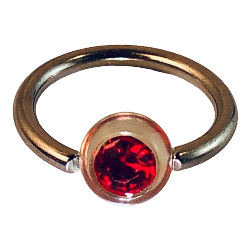 Body Jewelry Eyebrow Ring Piercing-Clear with Red Rhinestone | eBay