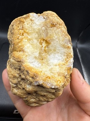 Fossilized Indiana Geode Quartz Clear Agate crinoid calyx 3,250 Carats ...