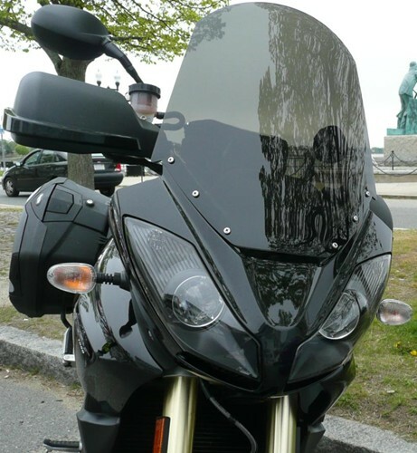 Calsci Windshield for Triumph Tiger 1050, Clear and Tinted | eBay