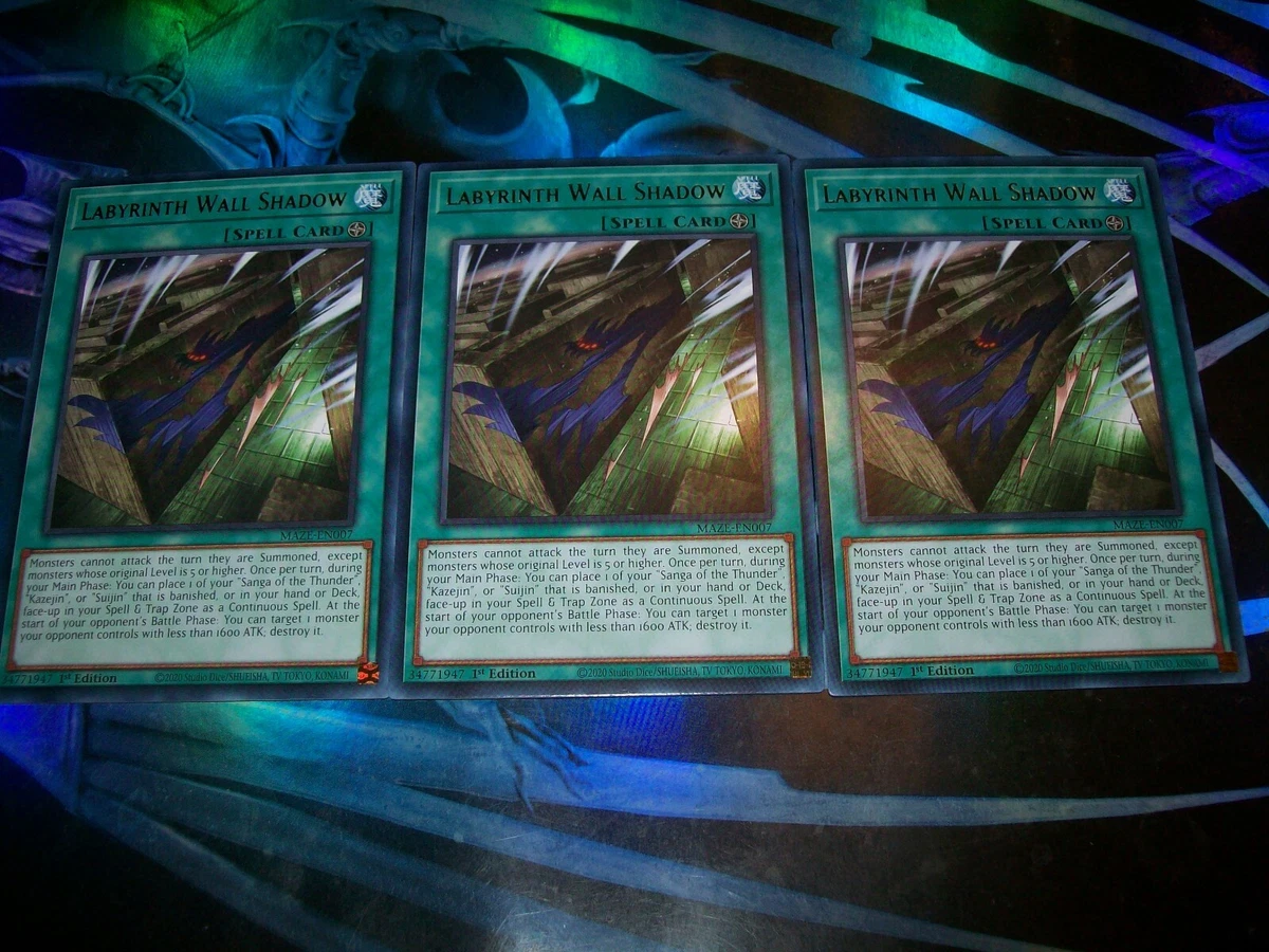 Yu Gi Oh Labyrinth Wall