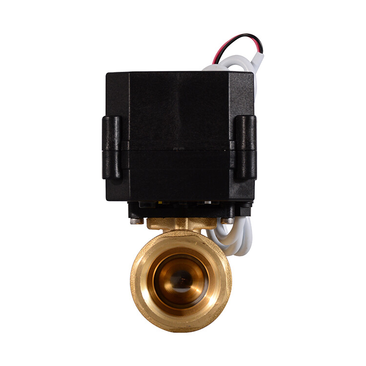 1" Motorized Electric Ball Valve 110V 120V to 220V AC, 2 Wire Auto ...