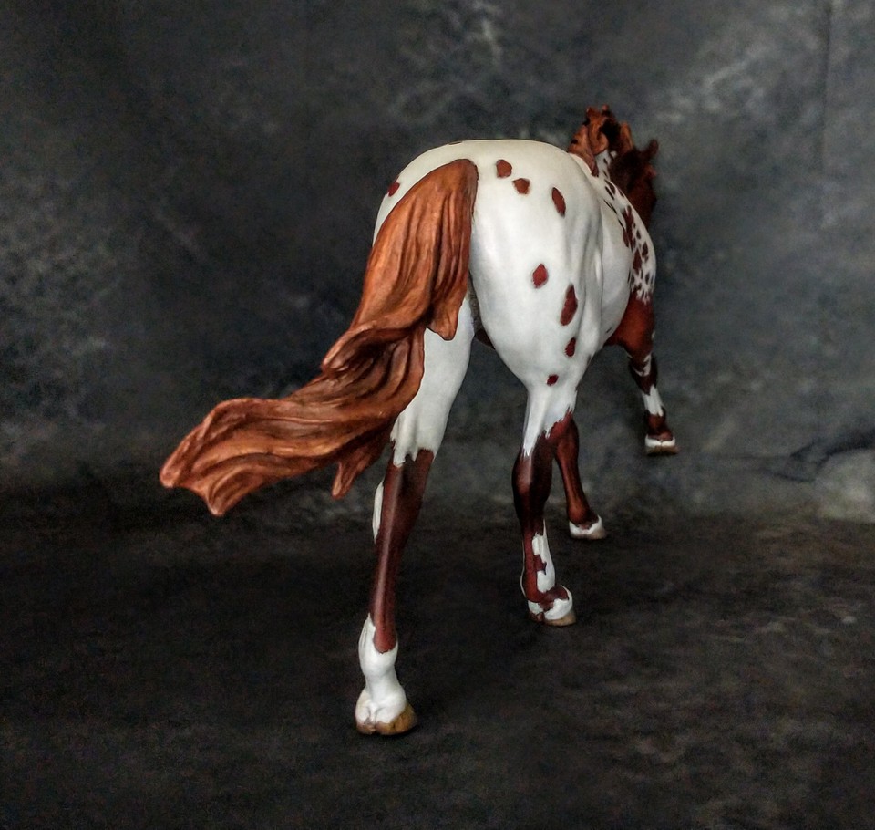OOAK Custom Breyer Horse, Australian Stock Horse Appaloosa, by Beverly ...