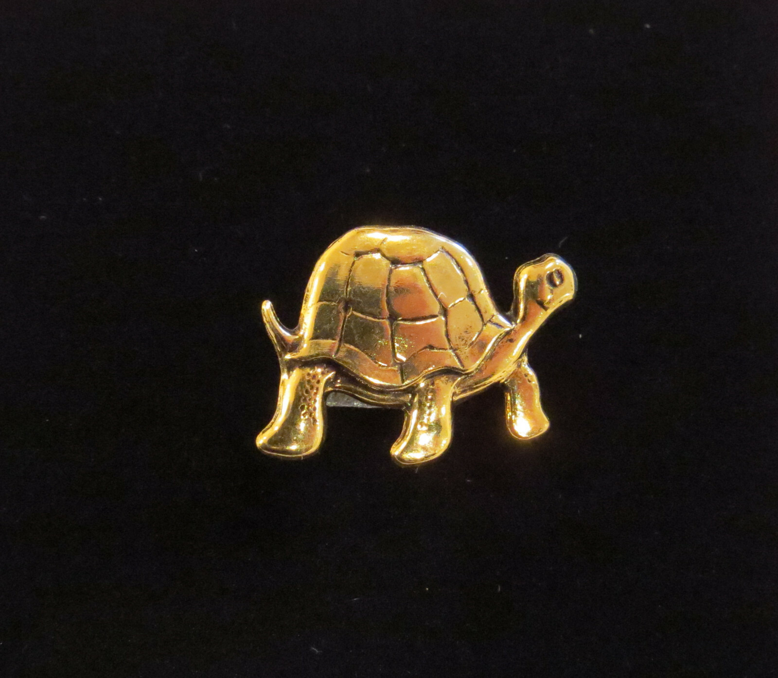 Turtle Tack Pin Tortoise Snapper Loggerhead Reptile Leatherback ...