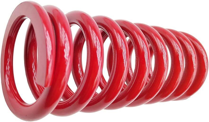 Motion Heavy Duty Front Fork & Rear Spring Kit for Yamaha TTR125E ...