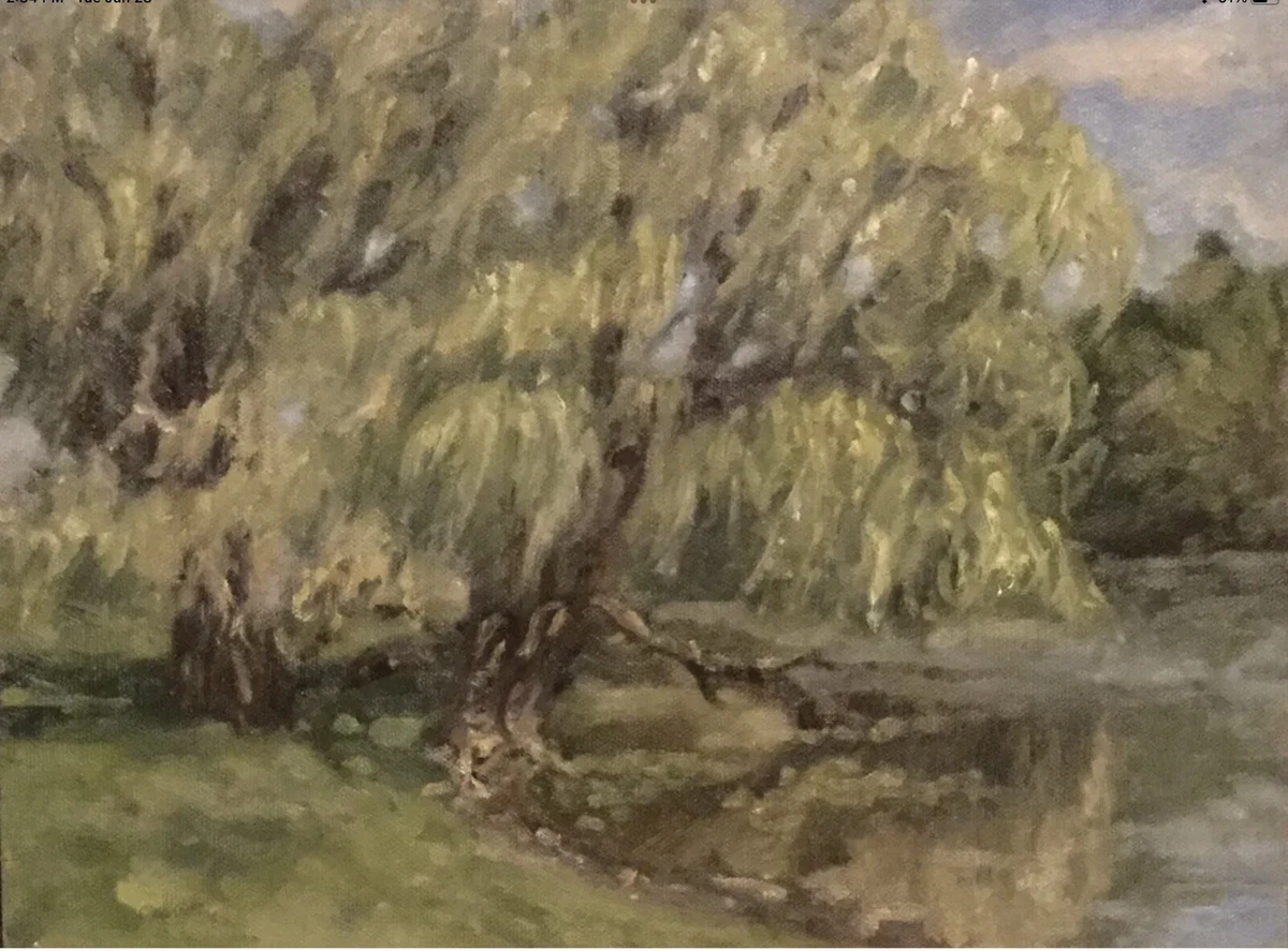 Willow Tree Oil Painting