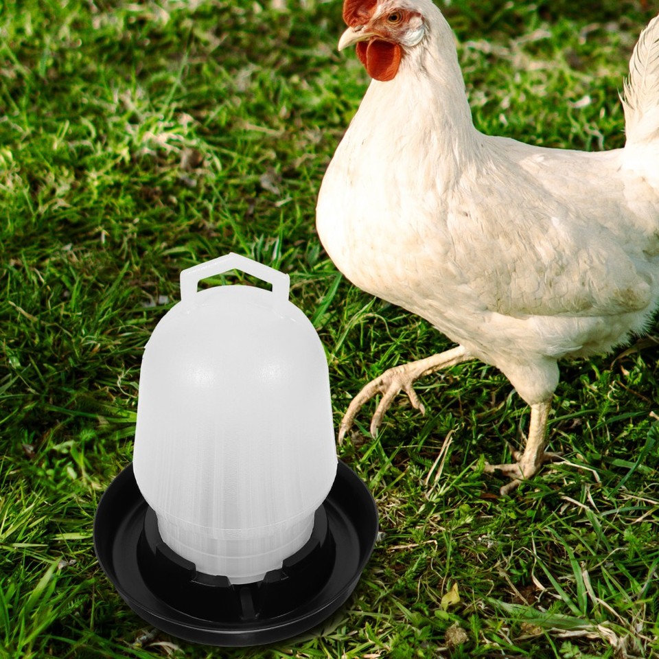 Automatic Drinking Fountain Baby Chick Waterer Chicken System Feeder ...