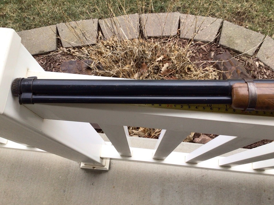 Vintage Daisy Model 111 BB Gun Rifle W/ Cougar or Mountain Lion Rogers ...
