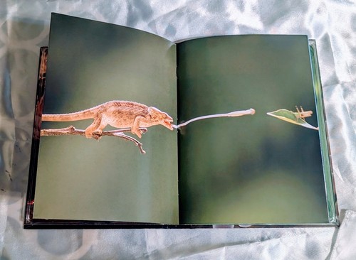 LIFE (WINFREY OPRAH) (4PC) / (WS AC3 DOL) [DVD] | eBay