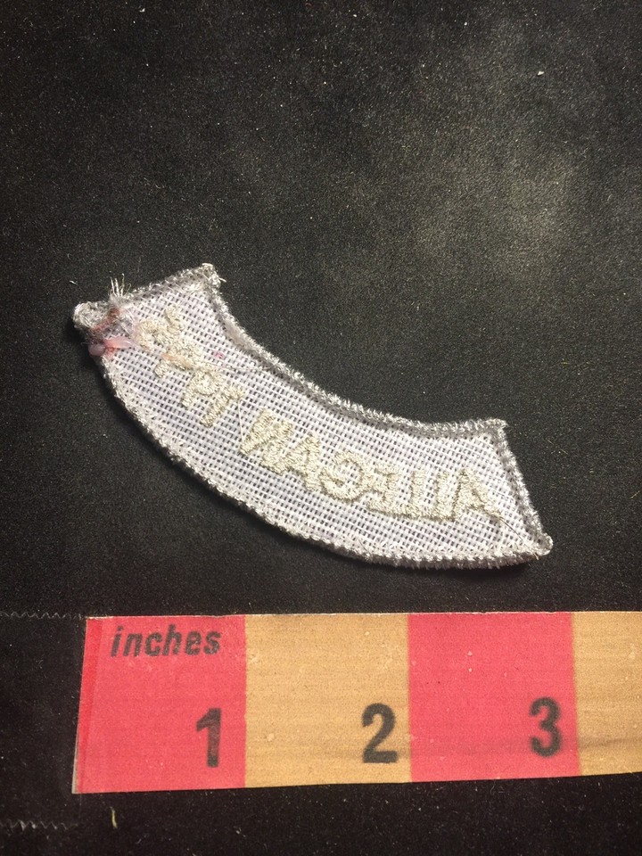 Michigan, ALLEGAN 1995 Tab Patch C91M | eBay