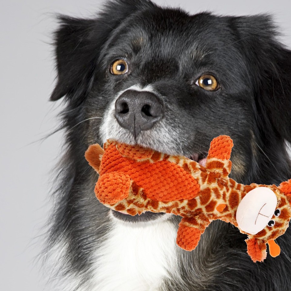Dog Plush Giraffe Chew Toys for Puppies Stuffed Animals Puppy Teething ...