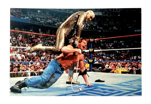 WWE RODDY PIPER AND GOLDUST WRESTLEMANIA LIVE 4X6 WRESTLING PHOTOCARD ...