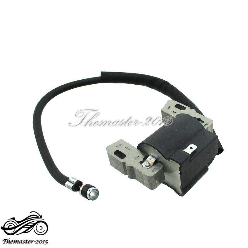 Ignition Coil For 31G777 303447 303777 31P777 10-13 9-14HP Engine | eBay