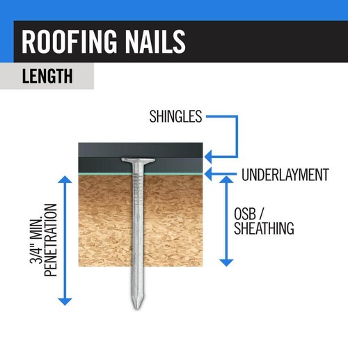 Everbilt Roofing Nails 1-1/4 in x 3D Electro-Galvanized Non-Collated ...