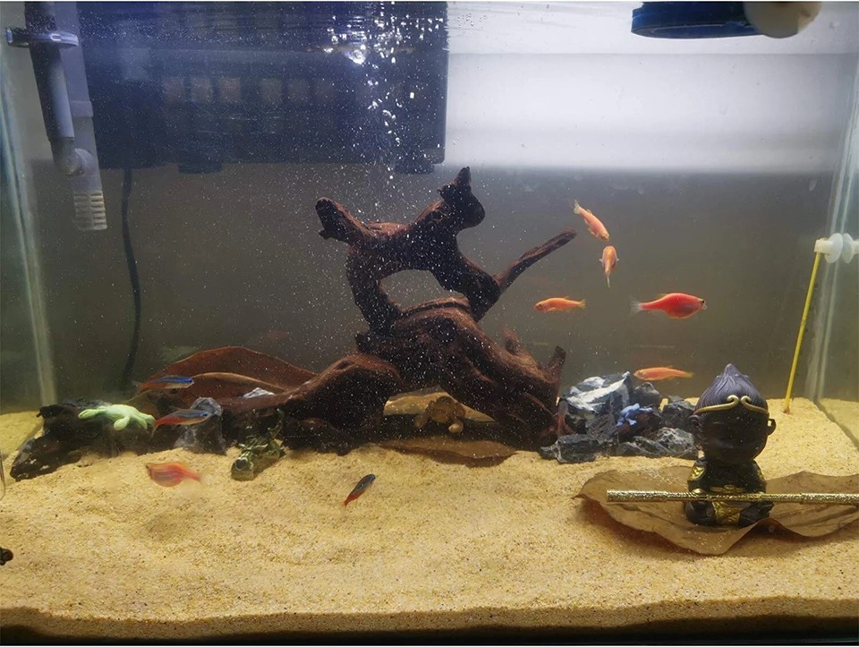 Aquarium Decoration Driftwood Log Natural Wood Branch Trunk Stump Fish ...