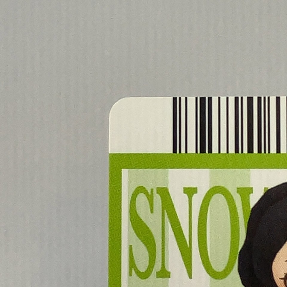 Disney Magic Castle Data Carddass Collection Card BANDAI TCG MC2-11 R ...