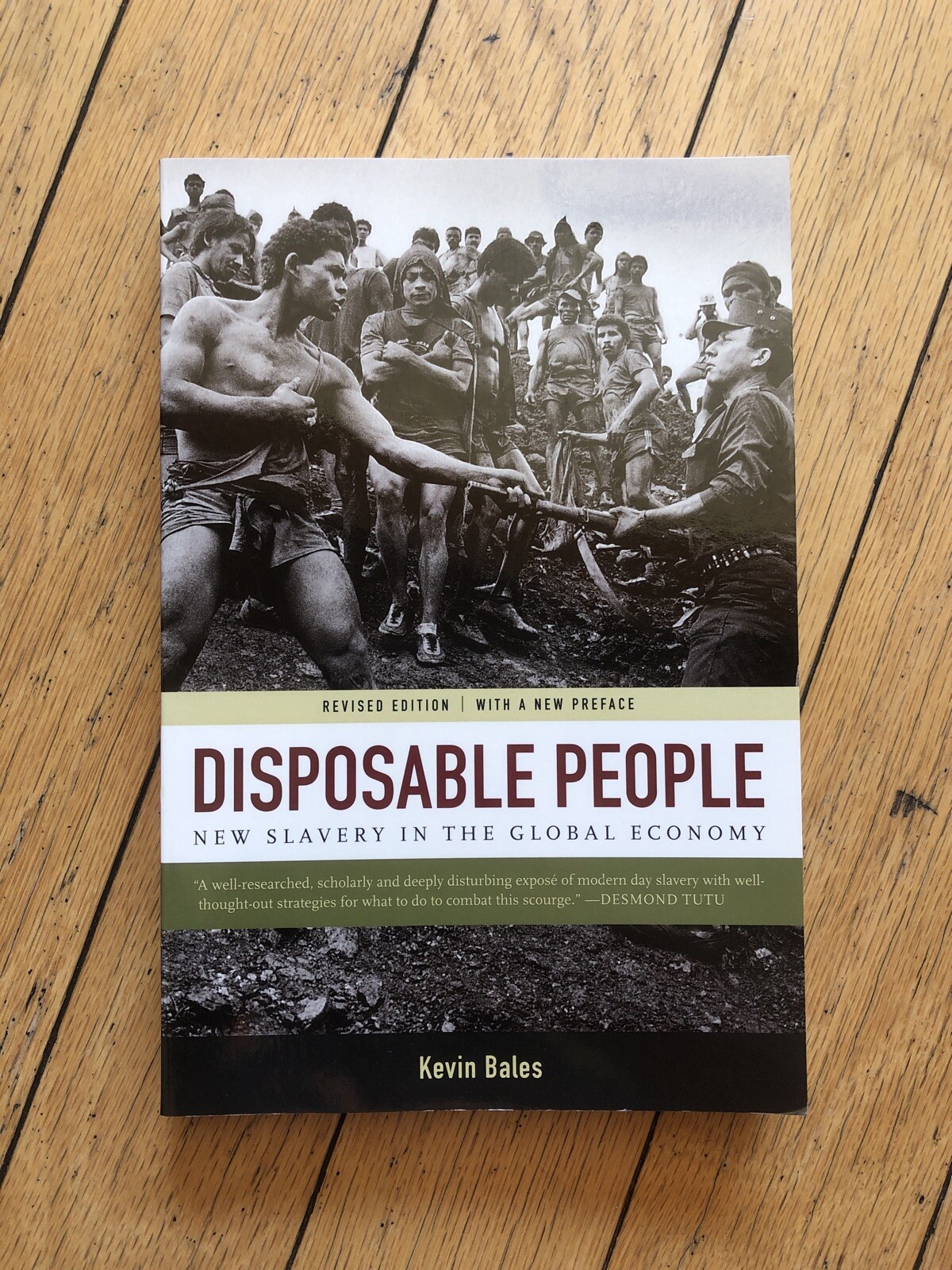 Disposable People : New Slavery in the Global Economy by Kevin Bales ...