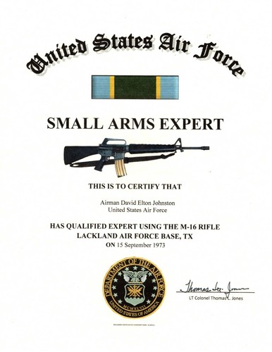 U.S. Army U.S. Air Force Expert Marksman or Sharp Rifle Replacement ...