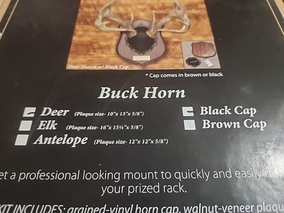 Van Dyke's Black Cap Buck Horn Deer Mounting Walnut Plaque Taxidermy ...