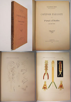 Brian COPEPODI PARASSITI PESCI ITALIA 1906 Genova Ittologia ...