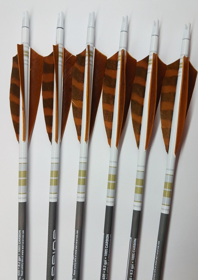 Goldtip warriors arrows for Traditional archery | eBay