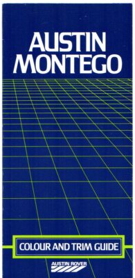Austin Montego Colour & Trim 1984 UK Market Foldout Brochure L HL HLS ...