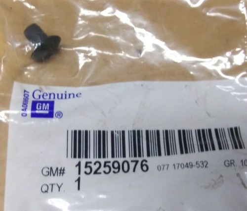 New Genuine GM OEM Front Side Door Plug 15259076 | eBay
