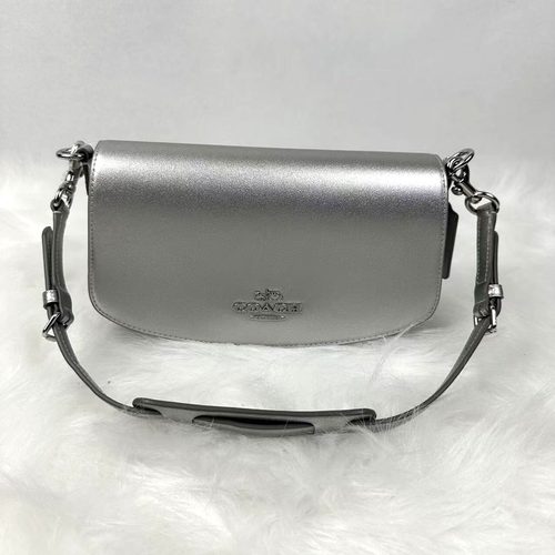 Coach Andrea SMALL Shoulder Bag In Smooth Leather/Silver/Light Silver ...
