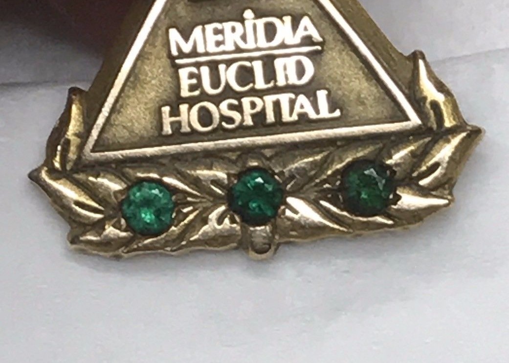 Meridia Euclid Hospital Service Pin Lapel Pinback Tack Jostens 10K Gold ...
