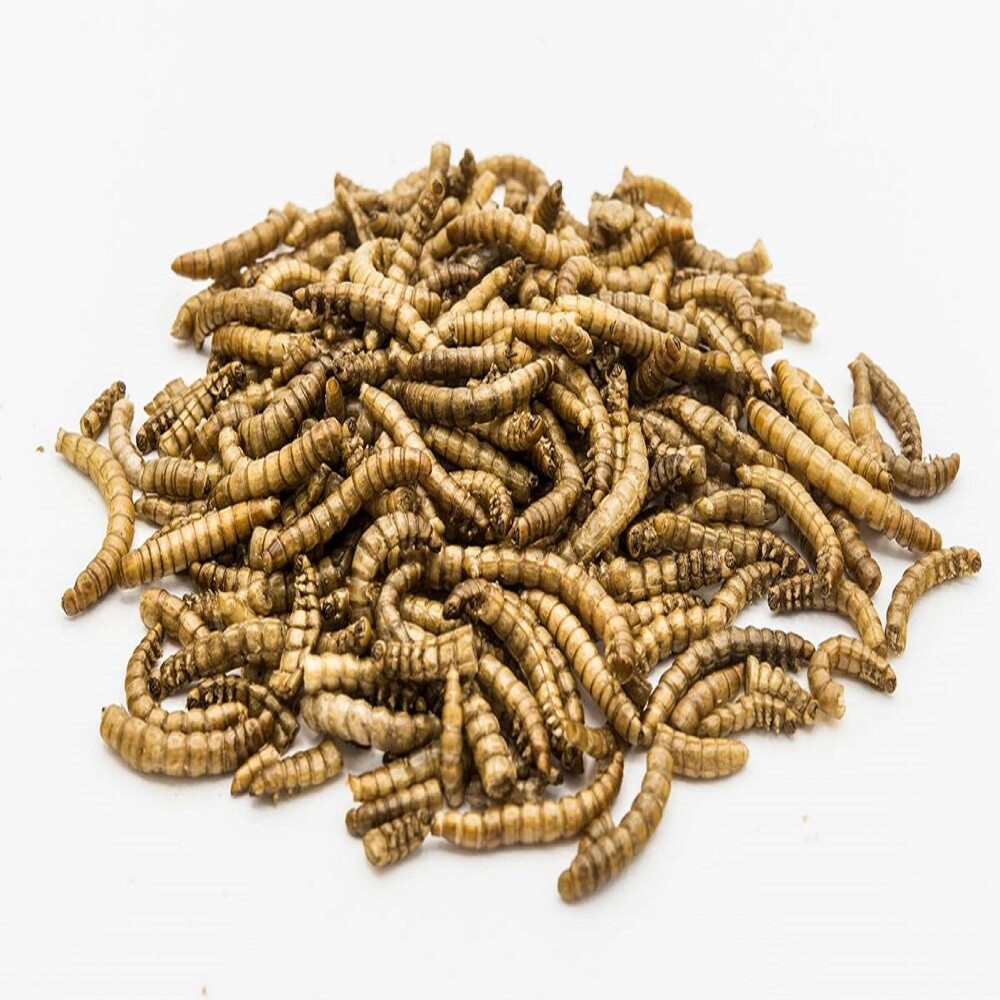 Wheat Bran Substrate Food Bedding For Live Feeders, Mealworms ...