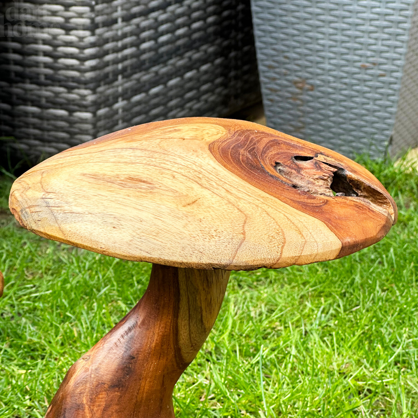 Teak Root Double Wild Mushroom Sculpture Hand Carved Wood Toadstools ...